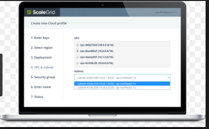 ScaleGrid 】Información, Reseñas y Precios | 2023 |