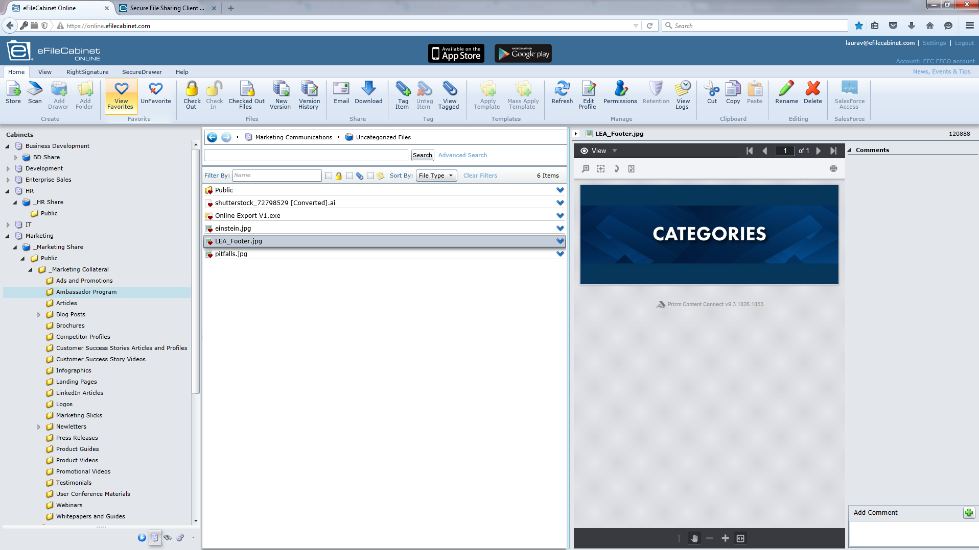 eFileCabinet : precios, funciones y opiniones